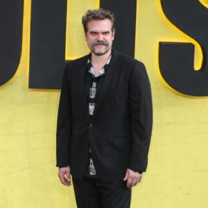 David Harbour reflects on his 'mistakes' following split from Lily ...